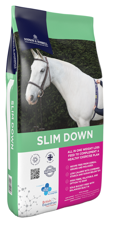 Feed | Animal Kingdom Jersey