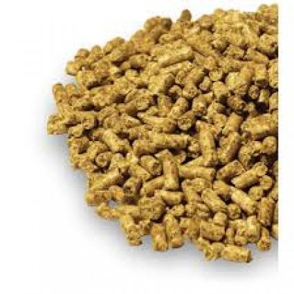 Duffields Ewe Nuts | Animal Kingdom Jersey